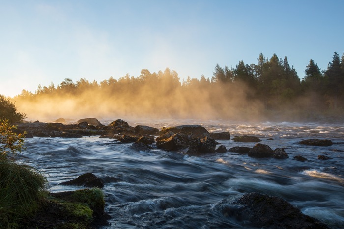 Miston Investment Family Office